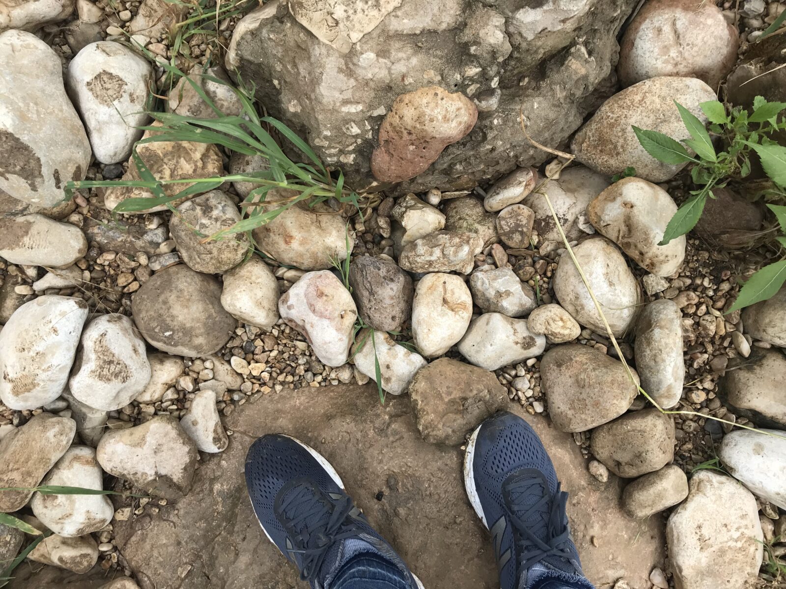 Why an Israel Trip Should Be On Your Bucket List - Dabillaroundthetable
