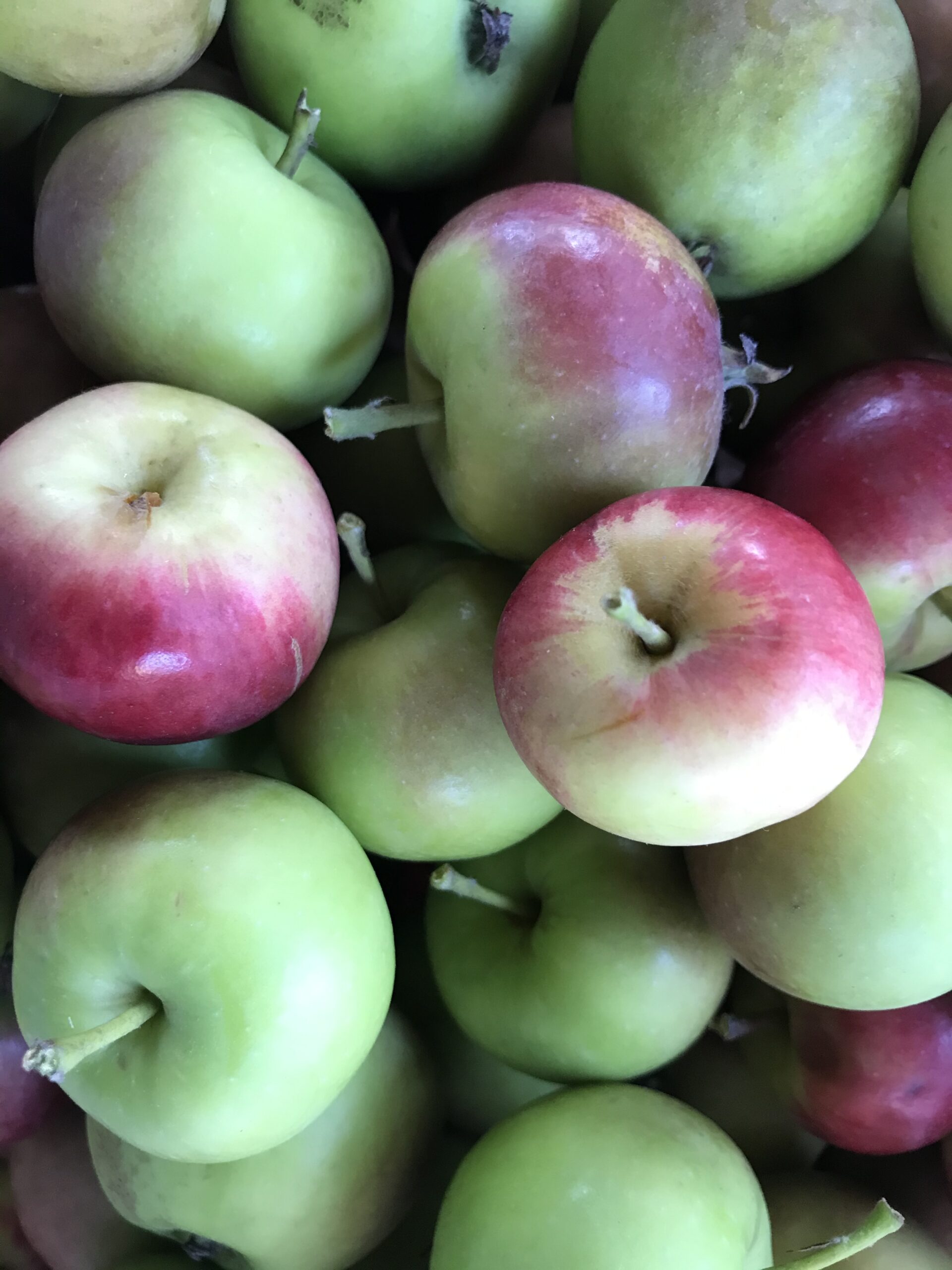 Apples, Apples, Apples- Read All About Them and Recipes ...
