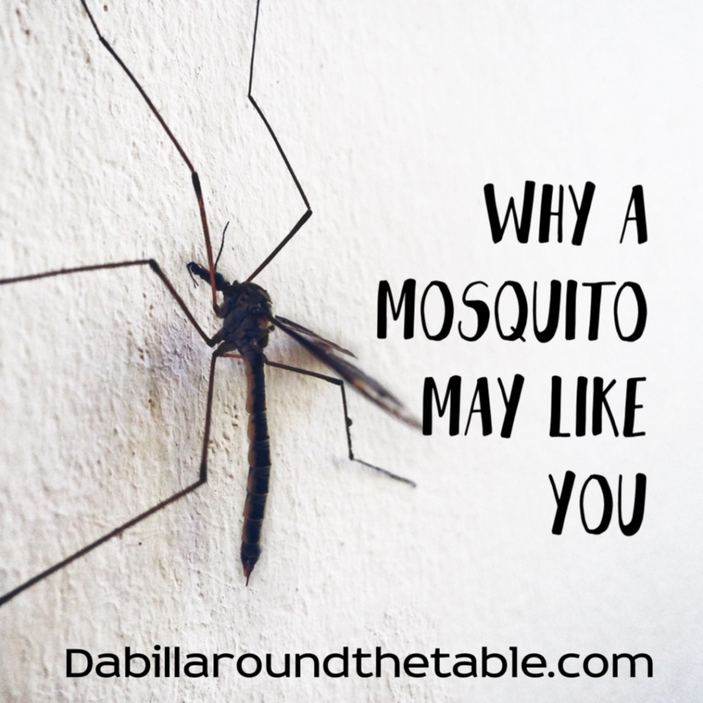 Why Mosquitoes May Like You - Dabillaroundthetable
